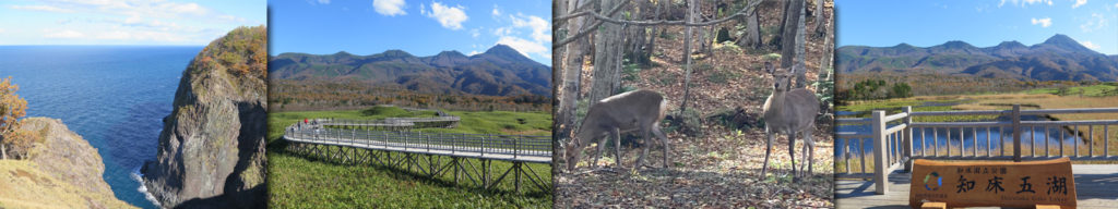 IEVC 2021 | 画像電子学会